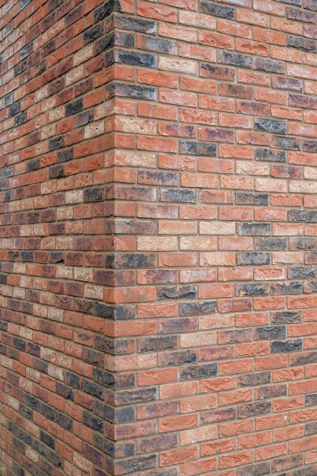 Holmer Green School | Taylor Maxwell