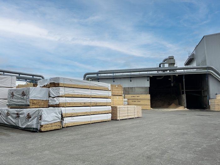 Timber Update October 2023 | Taylor Maxwell