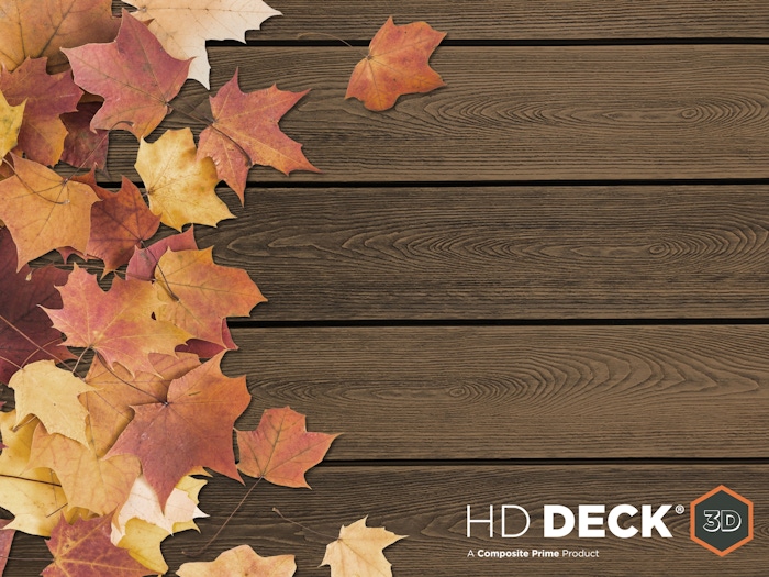 Timber Update August 2021 | Taylor Maxwell