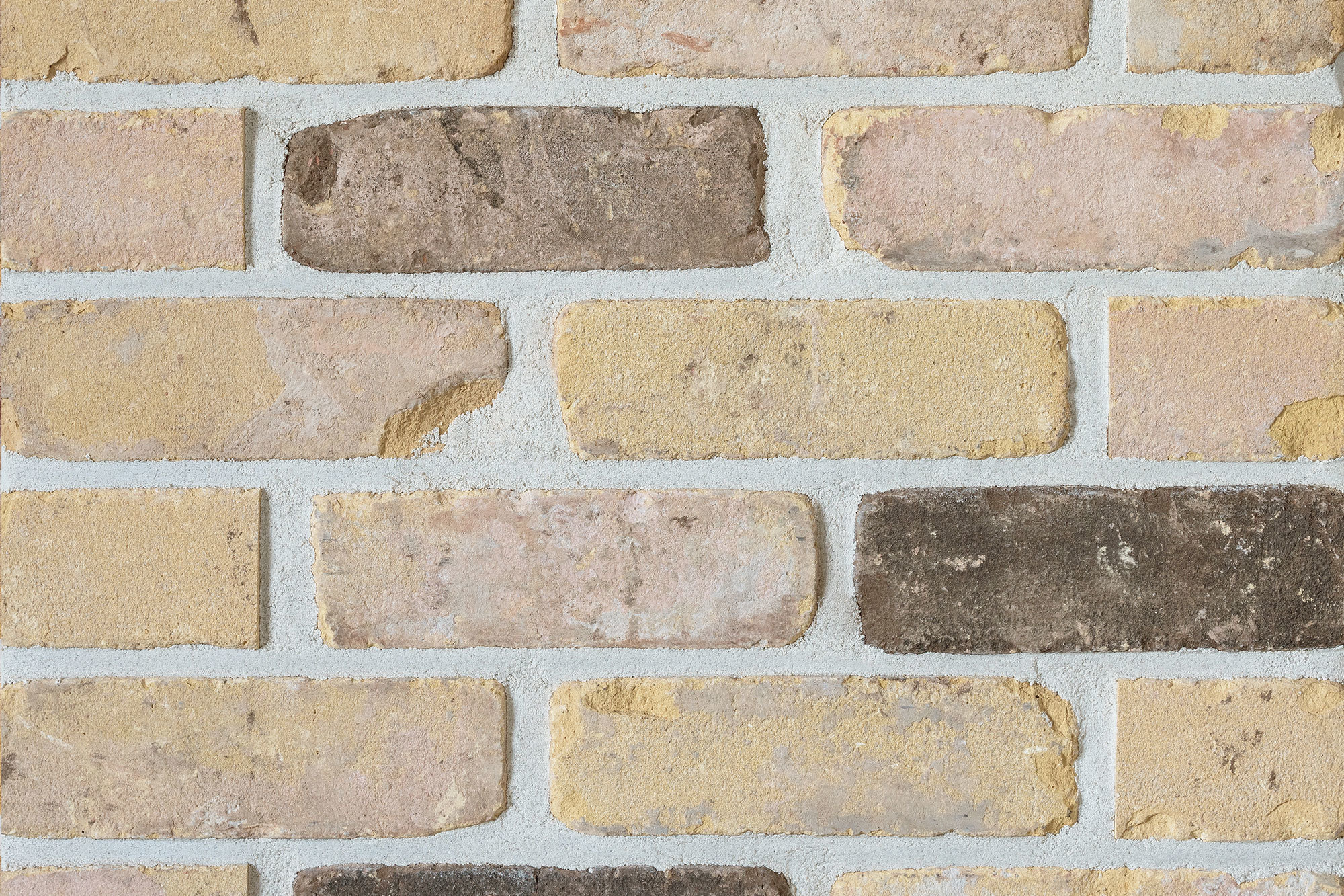 Solus Brick Range | Taylor Maxwell