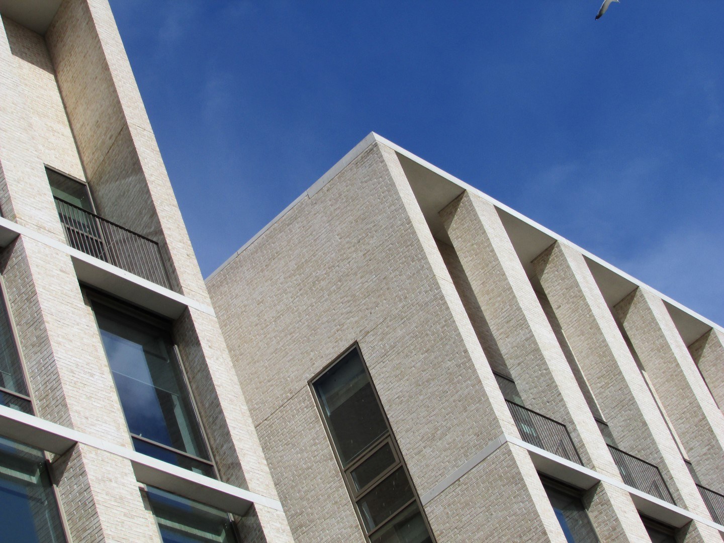 Case Study: Dundee House | Taylor Maxwell