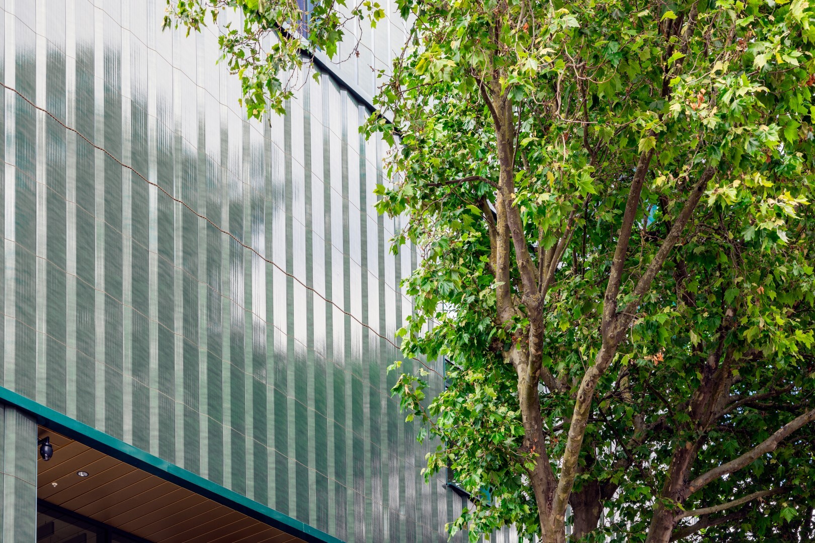 Nottingham Trent University, Design and Digital Arts… | Taylor Maxwell