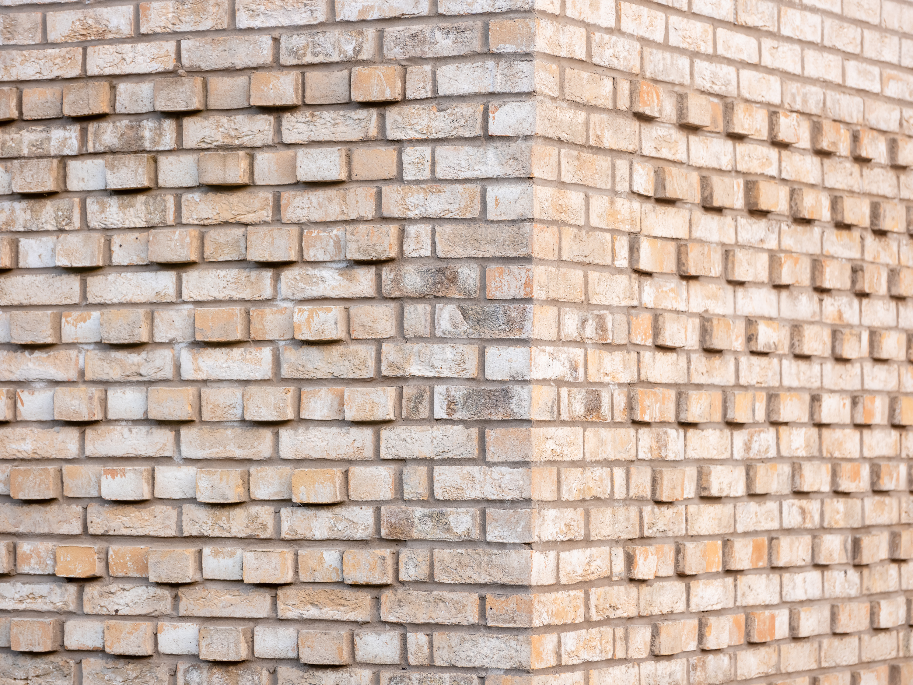 The Oak Collection at Jordanhill Park | Solus Range | Taylor Maxwell