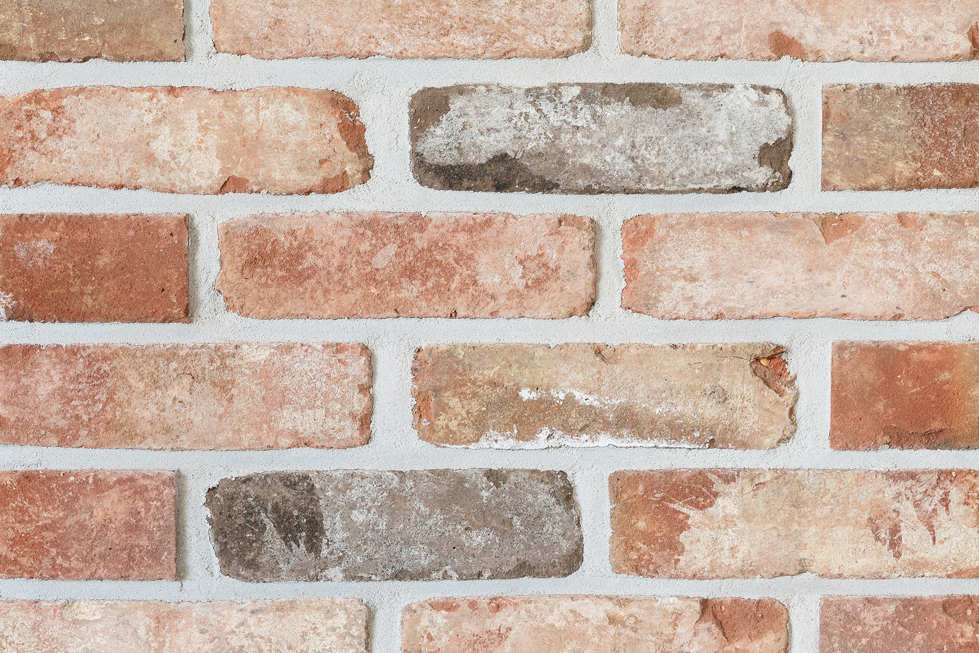 Solus Brick Range | Taylor Maxwell